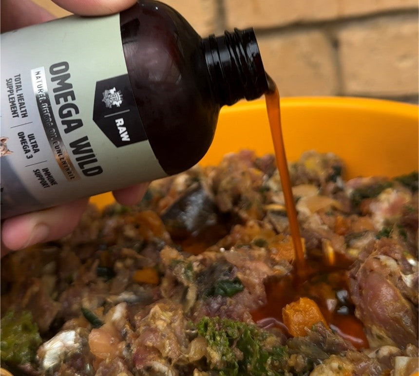 Mutton Bird Oil: A Natural Solution for Canine Health Issues