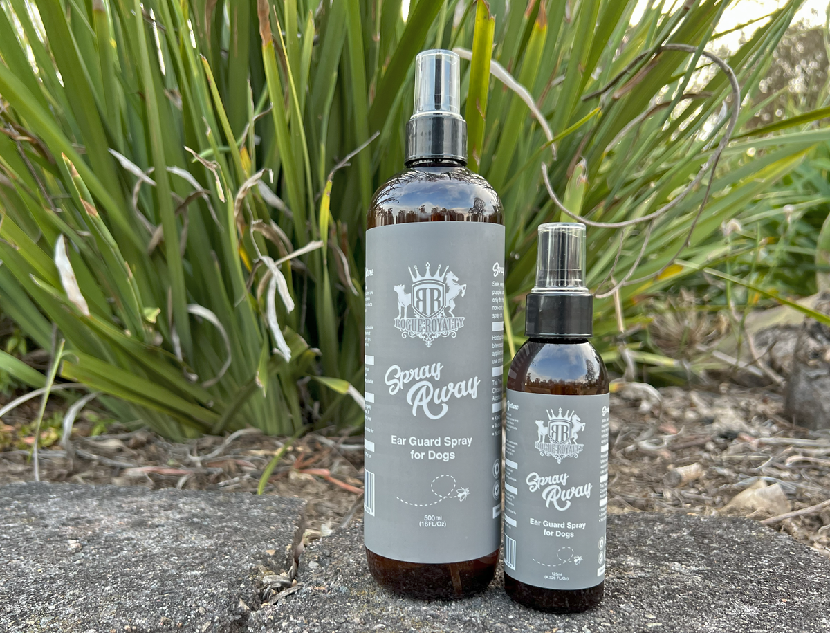 Stop flies biting your dog's ears naturally.