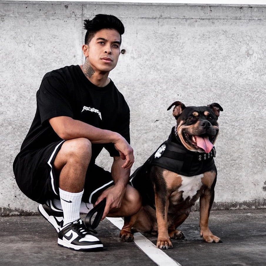 Leather Dog Collars, Harnesses & Accessories | Rogue Royalty