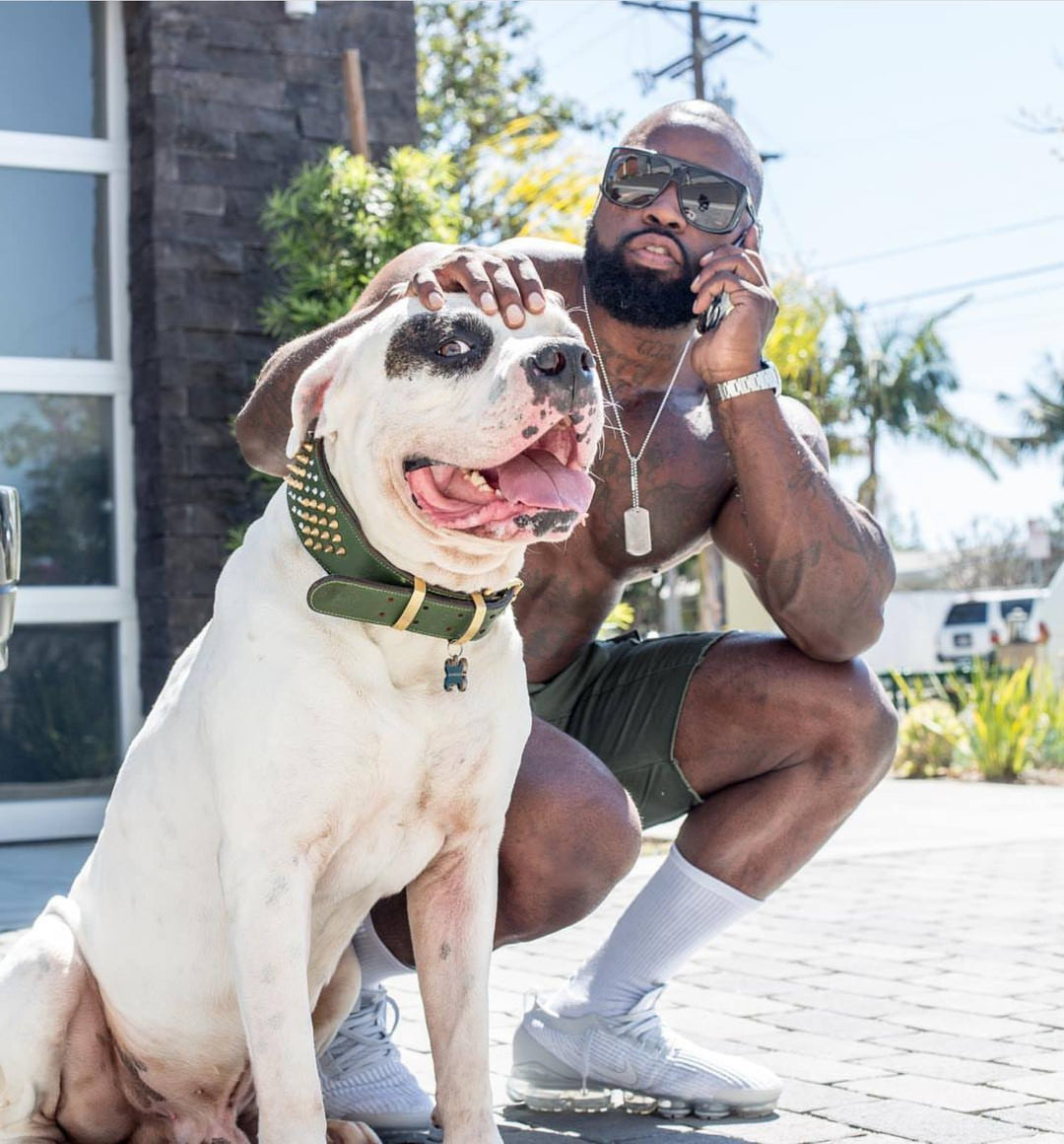 Leather Dog Collars, Harnesses & Accessories | Rogue Royalty