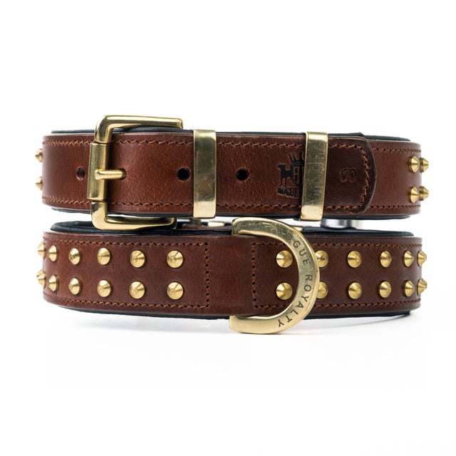 Ruffneck Slim Fit Collar | Brown Brass Edition – Rogue Royalty