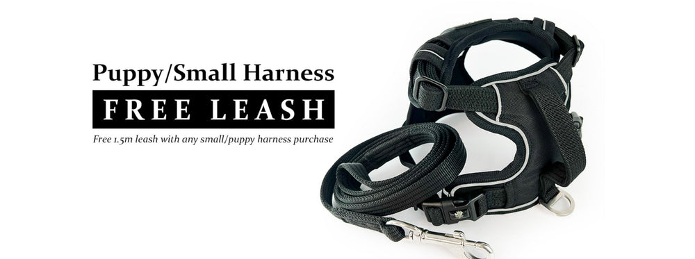 Strong Dog Collars, Dog Harnesses, Dog Leads | Rogue Royalty