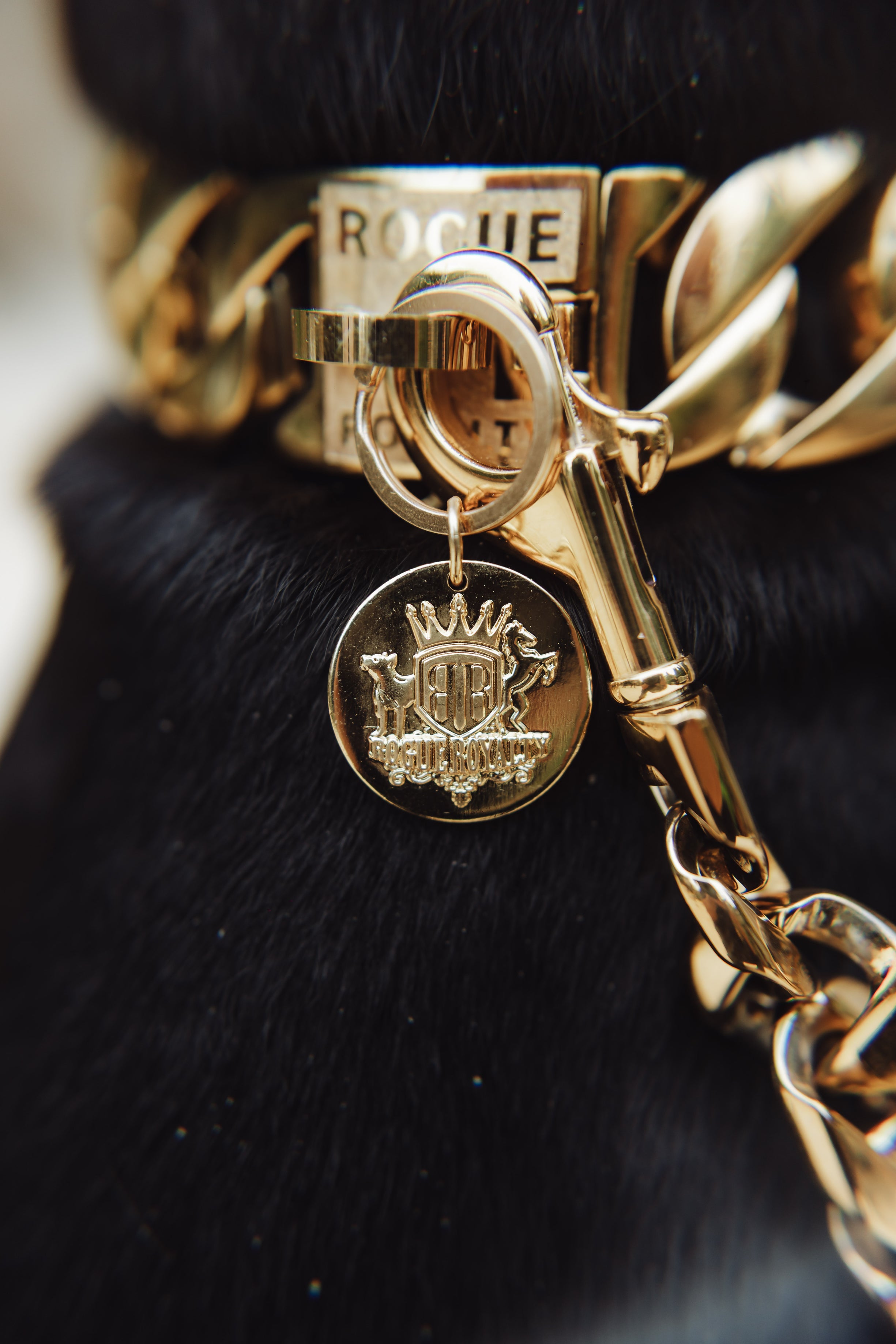 Leather Dog Collars, Harnesses & Accessories | Rogue Royalty