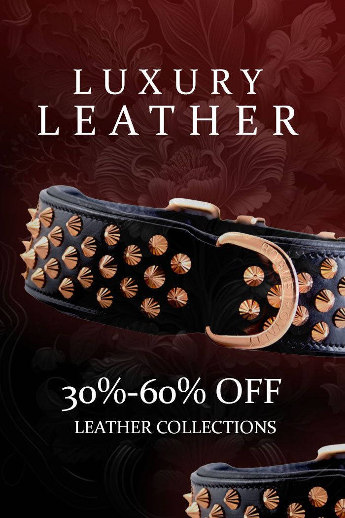 Strong Dog Collars, Dog Harnesses, Dog Leads | Rogue Royalty
