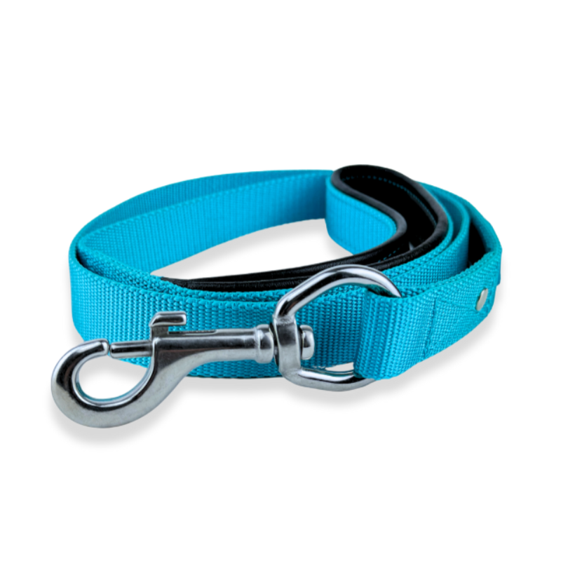Durable Dog Leash | SupaTuff® Turquoise 120cm – Rogue Royalty