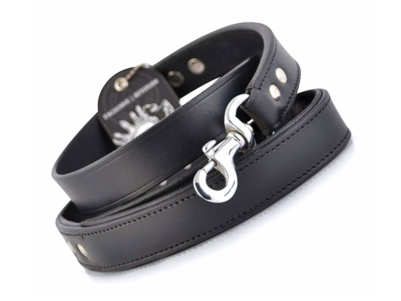 Premium Leather Dog Leash | Classic Black – Rogue Royalty