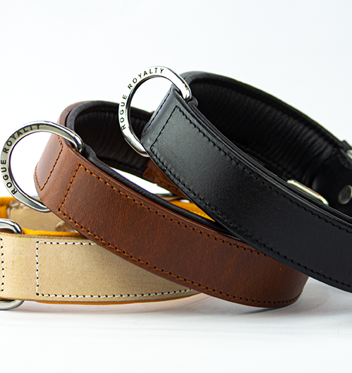 Dog Collars Australia | Best Luxury & Personalized Dog Collars Online ...