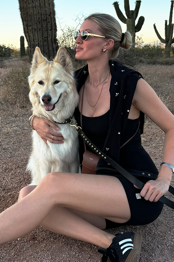 Strong Dog Collars, Dog Harnesses, Dog Leads | Rogue Royalty