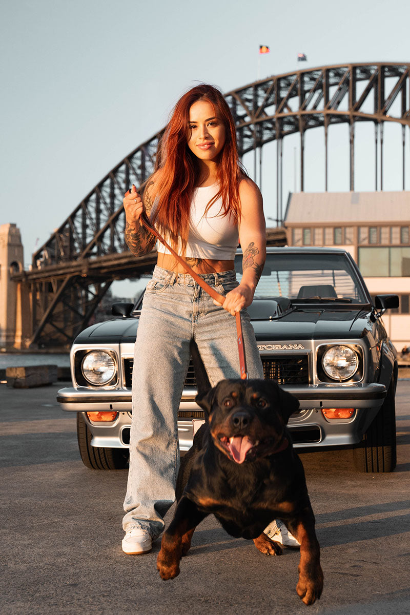 Rogue Royalty - Strong Dog Collars, Dog Harnesses, Dog Leads & Access