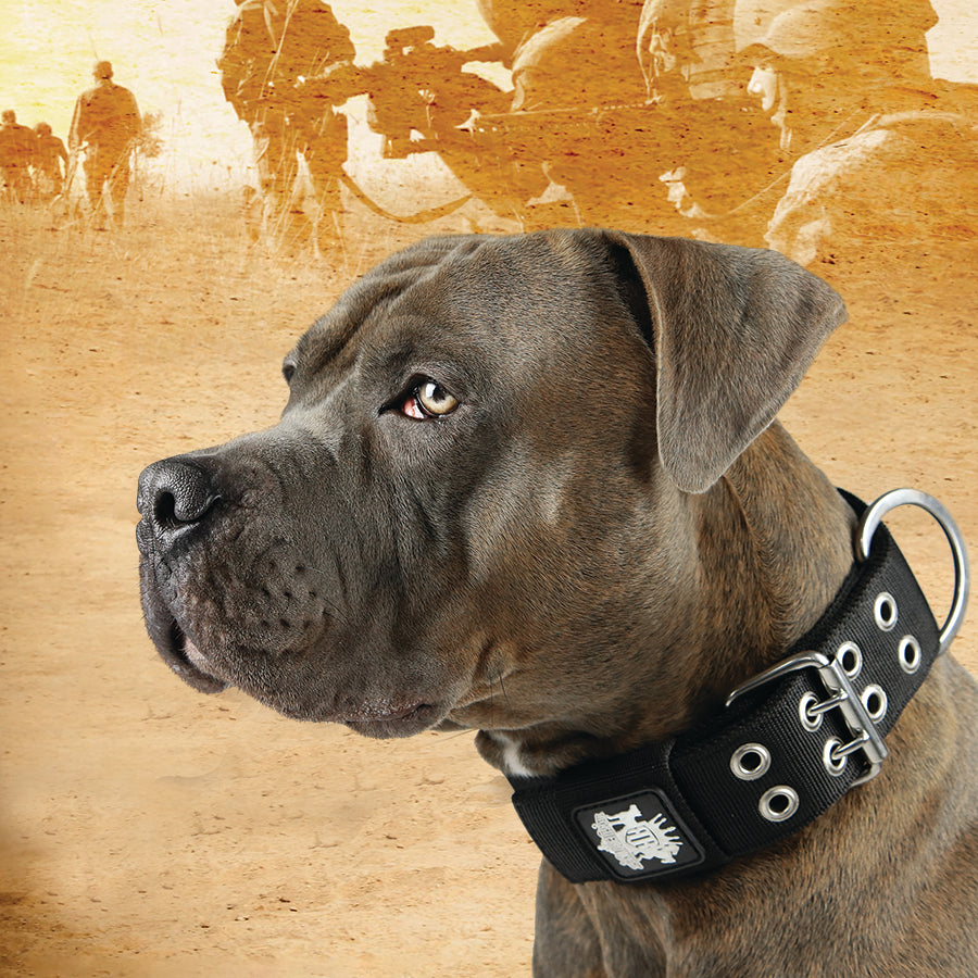 SupaTuff Strong Dog Collars