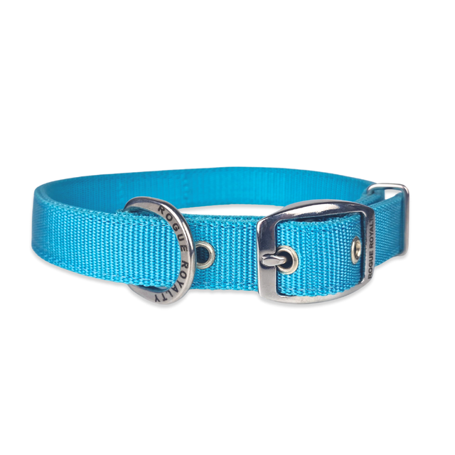 Strong Dog Collar Turquoise | Slim, Durable & Reliable – Rogue Royalty