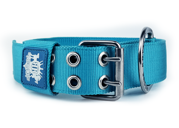 Dog Collars, Leashes, Grooming - New Releases | Rogue Royalty