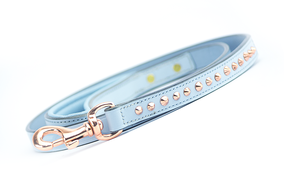 Imperial Baby Blue Dog Leash | Strong & Stylish Fit – Rogue Royalty