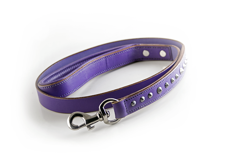 Imperial Purple Dog Leash | Elegant & Durable – Rogue Royalty