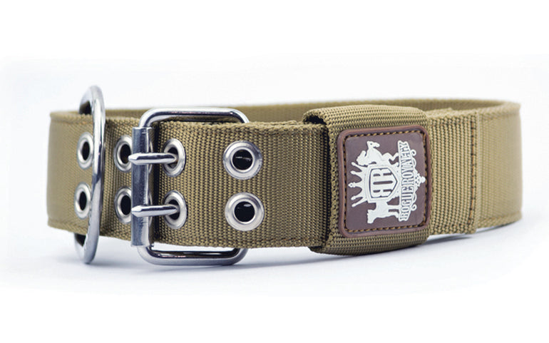 Dog Collars for Strong Breeds | Built to Last – Rogue Royalty